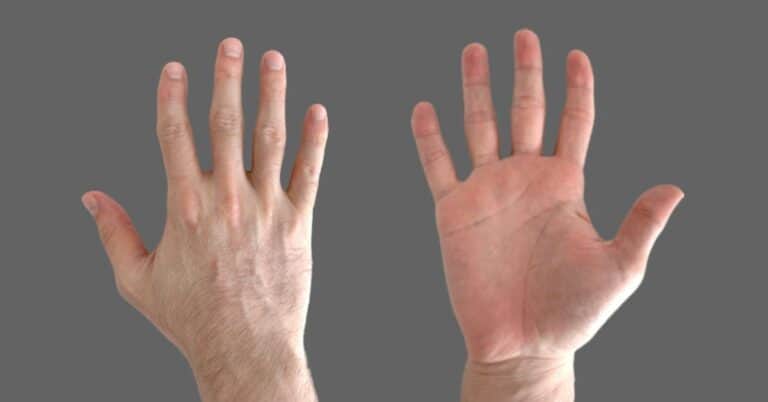 Hand Topology: Mastering Hand Modeling